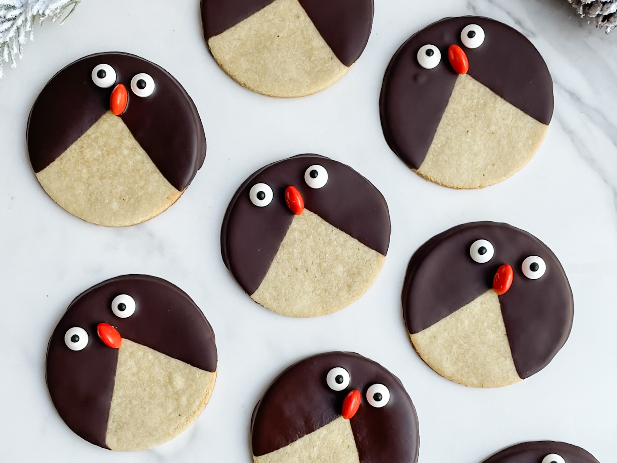 Paleo Penguin Sugar Cookies: A Fun, Healthy Holiday Treat - Healthy Holme